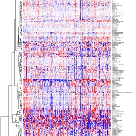 heatmap representing the serum metabolome of each individual cancer