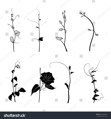 Silhouettes Vine Tree Set Stock Vector Royalty Free 440969920 Shutterstock