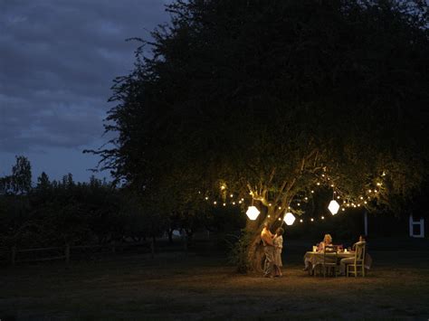 11 Ways To Make Your Neighbors Jealous Of Your Backyard