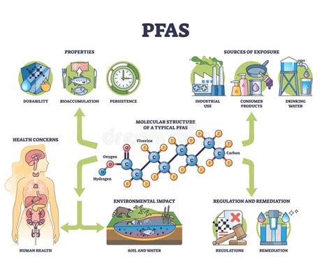 Pfas Diagram Outlines Exposure Sources Health Concerns And Environmental Impact Stock