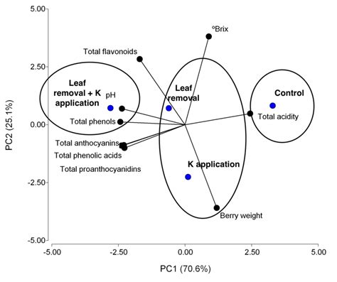 Principal Component Analysis Pca Performed With Berry Parameters Of Download Scientific