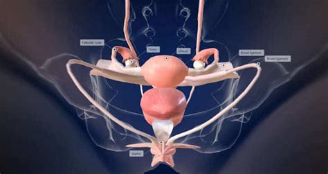 Emsella Chair For Sexual Function In Men And Women In Dubai