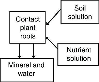 Origin Of Essential Elements In Soil And Hydroponics Download Scientific Diagram