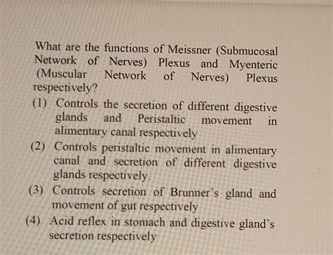What Are The Functions Of Meissner Submucosal Network Of Nerves Plexus