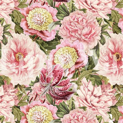 Flori Album On Imgur