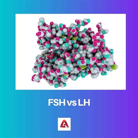 FSH Vs LH Perbedaan Dan Perbandingan