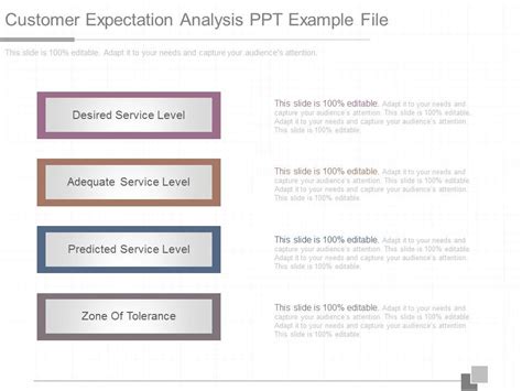 Customer Expectation Analysis Ppt Example File