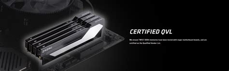 ZADAK TWIST DDR Plentycomputer