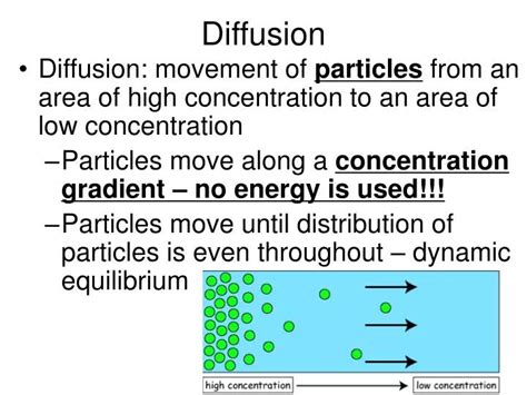 PPT Diffusion PowerPoint Presentation Free Download ID