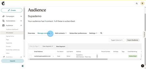 how to export contacts in mailchimp