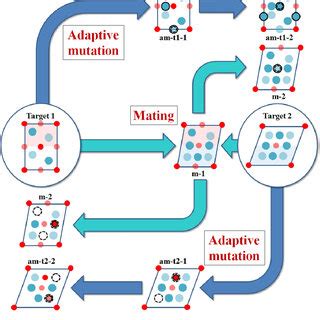 Application Of The Adaptive Mutation And The Mating To Two Target Download Scientific Diagram