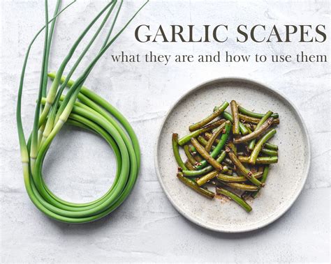 Garlic Scapes What They Are And How To Use Them Just A Pinch