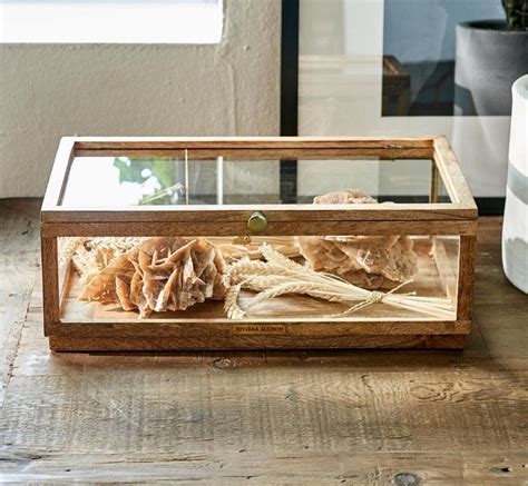 Bleached Rectangle Display Case Artofit
