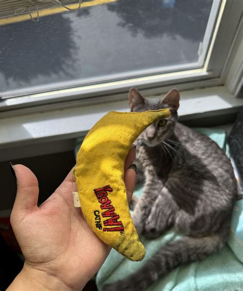 Yeow Catnip Banana Toy Rcats