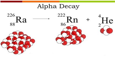 About Alpha Decay Assignment Point