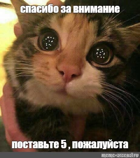 Мем спасибо за внимание поставьте 5 пожалуйста Все шаблоны Meme