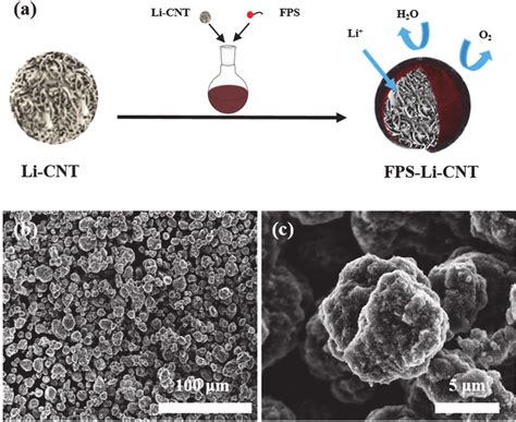 A Schematic Illustration Of The In Situ Polymerization Coating