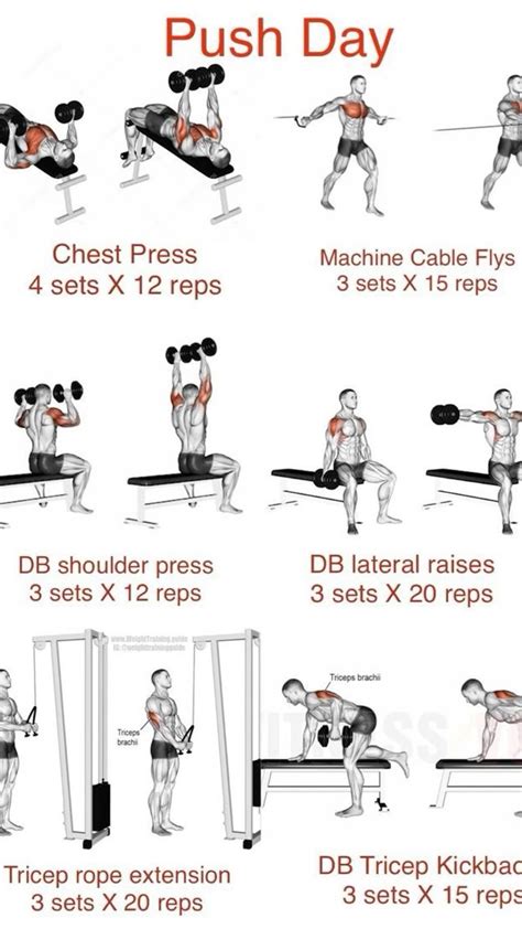 Push Pull Legs Weight Training Workout Schedule For 7 Days Artofit
