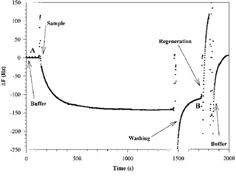 Binding Curve Between The Immobilised Probe On The Sensor Surface And Download Scientific