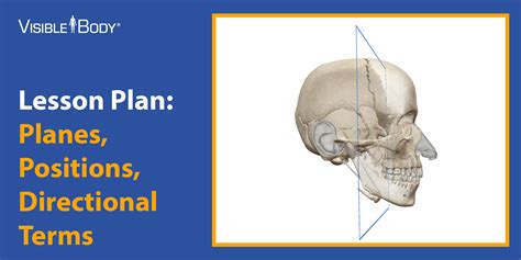 anatomical planes positions and directional terms future health post