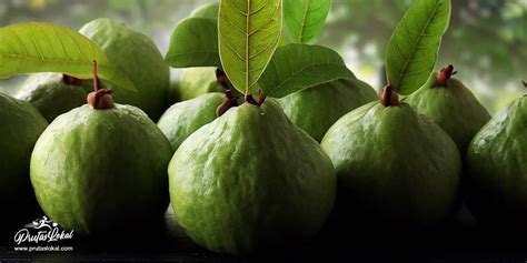 Avocado Mga Nakakabilib Na Health Benefits Alamin