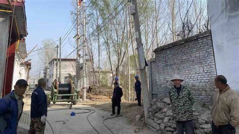 春在枝头 桃花已盛 济宁鱼台千亩堤岸桃花次第开济宁民生济宁齐鲁网