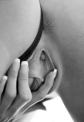 Paâs antenna goes in here Porn Pic