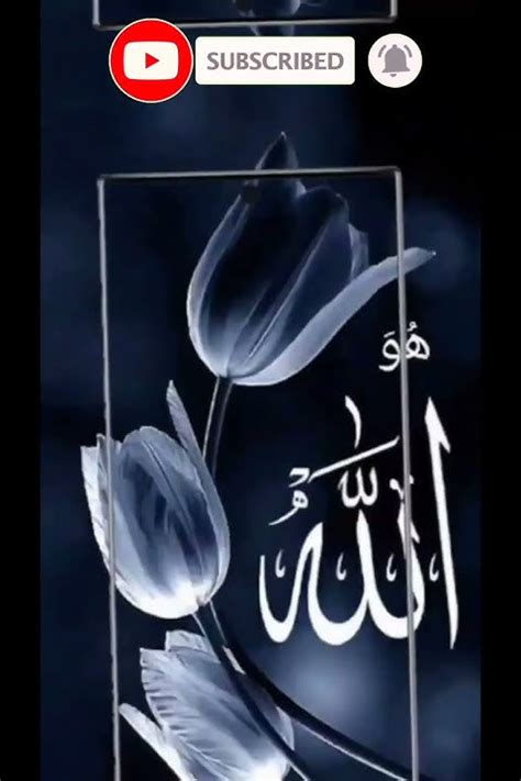 Allah Mashallah🤲🤲subscribeislamicvideoyoutubeshortsviral Youtube