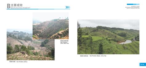 法国开发署贷款湖南森林可持续经营项目掠影 A Glimpse of Hunan Sustainable Forest Management