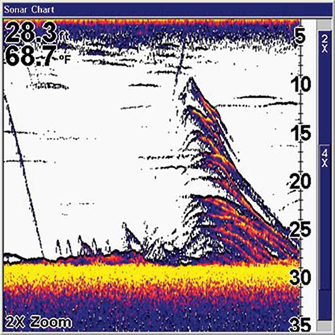 Vertical Jigging Strategies For White Bass In Fisherman