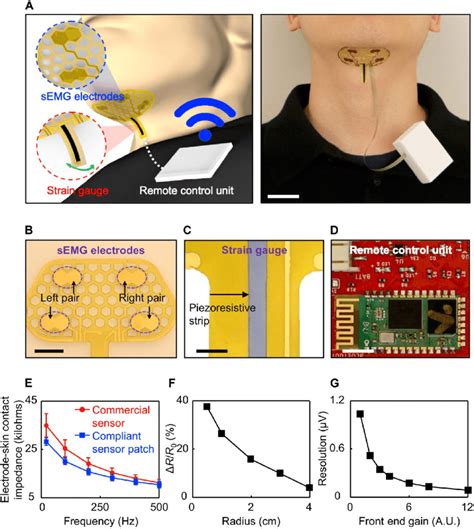 Basic Layouts And Configurations Of The Sensor Patch System A