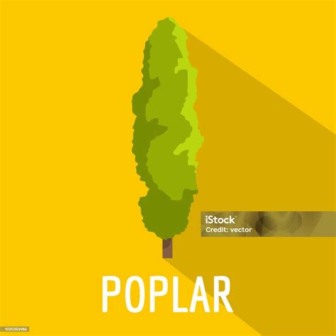 포 플 러 나무 아이콘 평면 스타일 포플라 나무에 대한 스톡 벡터 아트 및 기타 이미지 포플라 나무 아이콘 0명 Istock