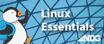 Online Courses Labs Training NDG