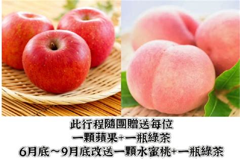 J2025立山黑部動感雪牆粉蝶花紫藤花富士芝櫻6天 Br0909 團型特色 行家旅遊tw