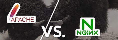 Seleccionando Un Servidor Web Apache Versus Nginx Jotelulu