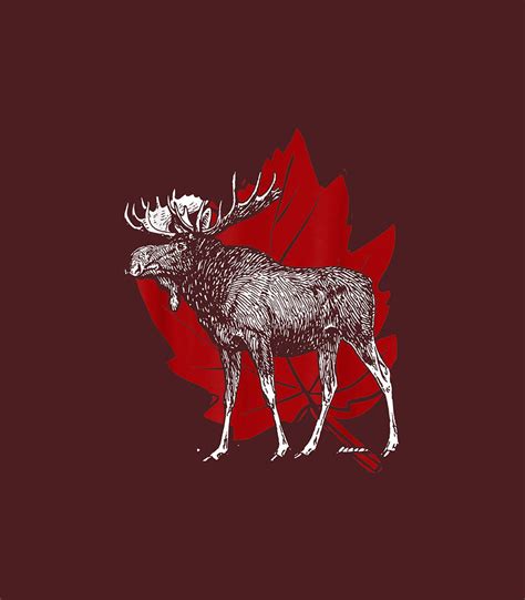Canada Moose Maple Leaf Canadian Canada Day Digital Art By Noh9rohai Pixels