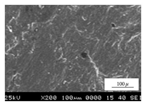 Sem Micrograph Of The Worn Surface Of The Al 75 Wt Gr Composite At A