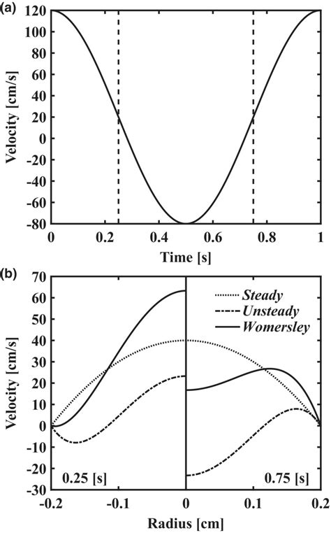 Demonstration Of Methods Using An Analytical Solution For Pulsatile