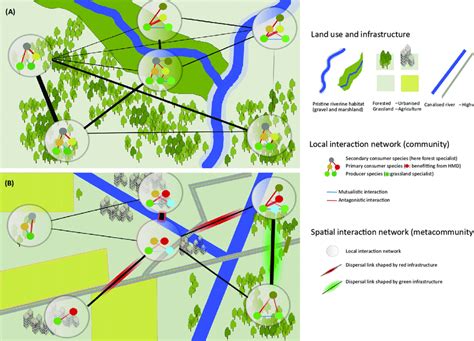 Rewiring Of Spatial Networks By Human Mediated Dispersal Hmd A A Download Scientific