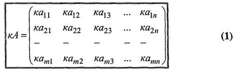 5. Дії над матрицями