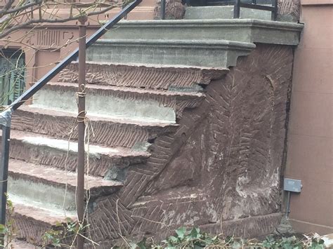 Stage 2 Complete Scratch Coat Wandernesting