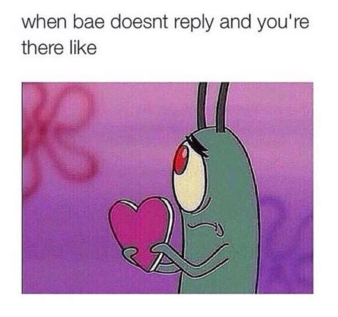 Quotes About Bae Memes Quotesgram