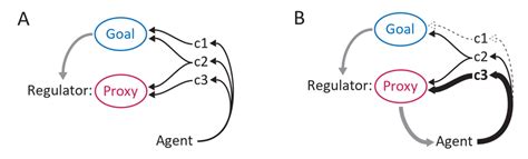 Regulator Goal Agent Proxy And Their Potential Causal Links Proxy