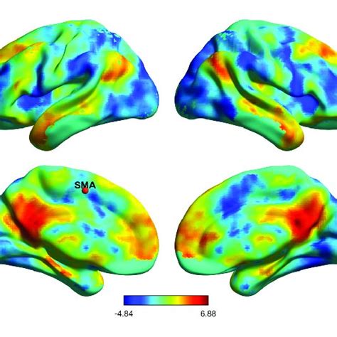 Resting State Functional Connectivity Of The Default Mode Network Download Scientific Diagram