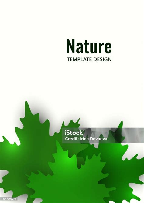 흰색 배경에 녹색 단풍 나무 잎 여름 창조적 인 디자인 벡터 가리기에 대한 스톡 벡터 아트 및 기타 이미지 가리기 가을