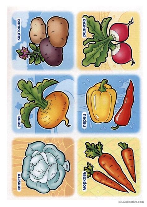 Дидактические картинки овощи
