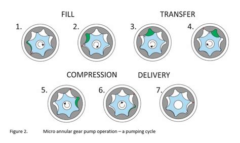 Gerotor Pump Internal