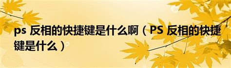 ps 反相的快捷键是什么啊PS 反相的快捷键是什么 新讯网