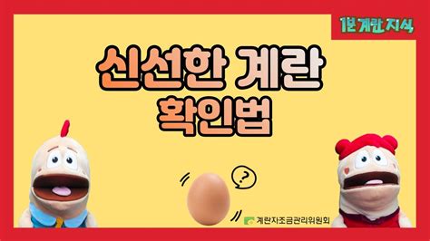 신선한계란을 고르는 방법 Youtube